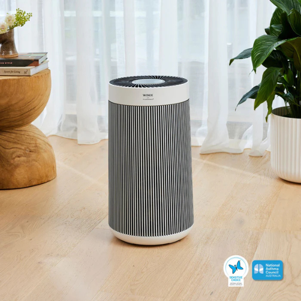 5 stage air purifier store